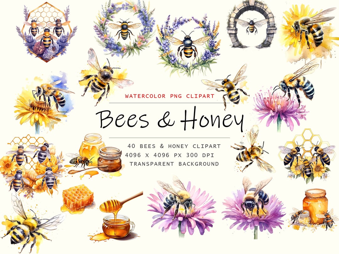 Watercolor Honey Bee Clipart, Spring Flowers Bee and Honey Clip Art PNG ...