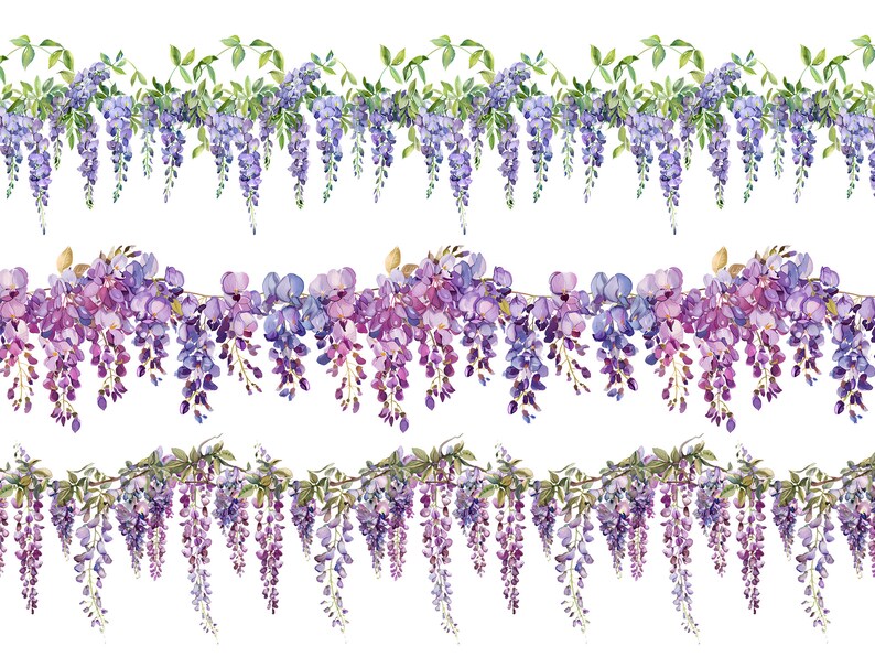 Watercolor Wisteria Borders Clipart, 30 PNG Wisteria Flowers Borders ...