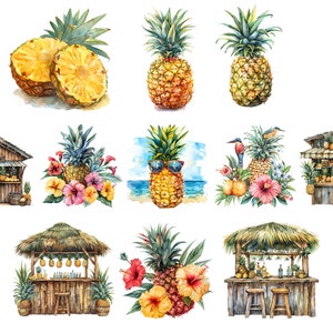 Watercolor Pineapple Clipart, 22 PNG Pineapple Clip Art, Commercial Use ...