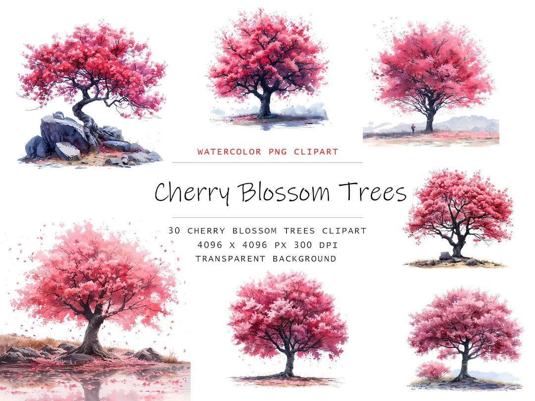 Watercolor Sakura Trees Clipart, 30 Cherry Blossom PNG, Commercial Use ...