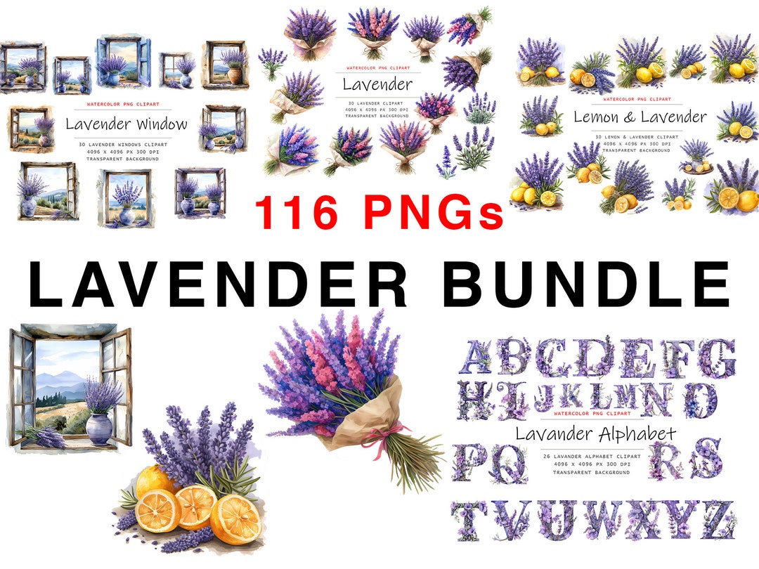 Watercolor Lavender Bundle Clipart, 116 High Quality PNG Files ...