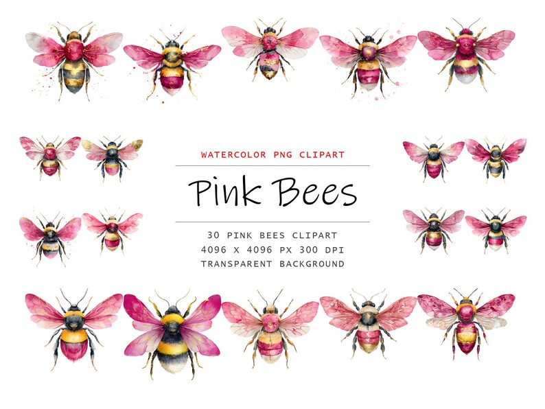 Watercolor Pink Bee Clipart, 30 PNG Pink Bees Clipart, Commercial Use ...