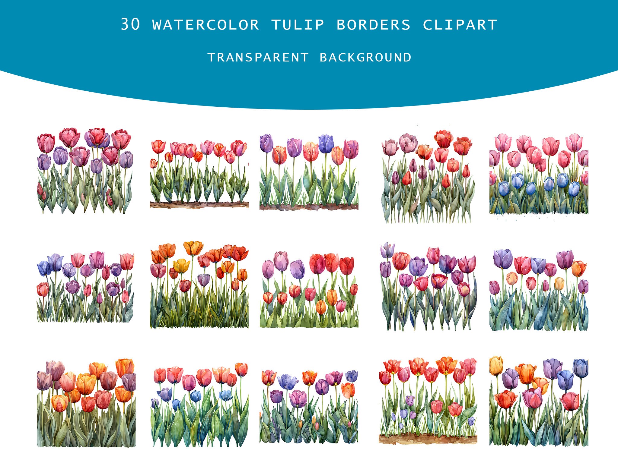Watercolor Tulip Borders Clipart, 30 PNG Tulip Borders Clip Art, Tulip ...
