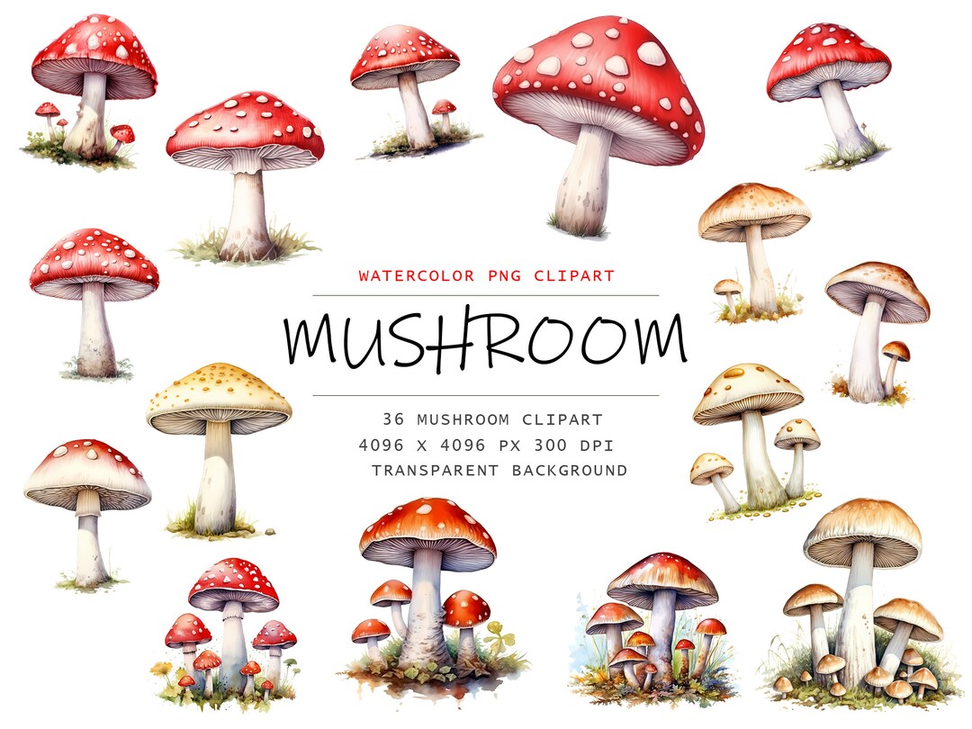 Watercolor Mushrooms Clipart - Cute Forest Nature Toadstool Clip Art ...
