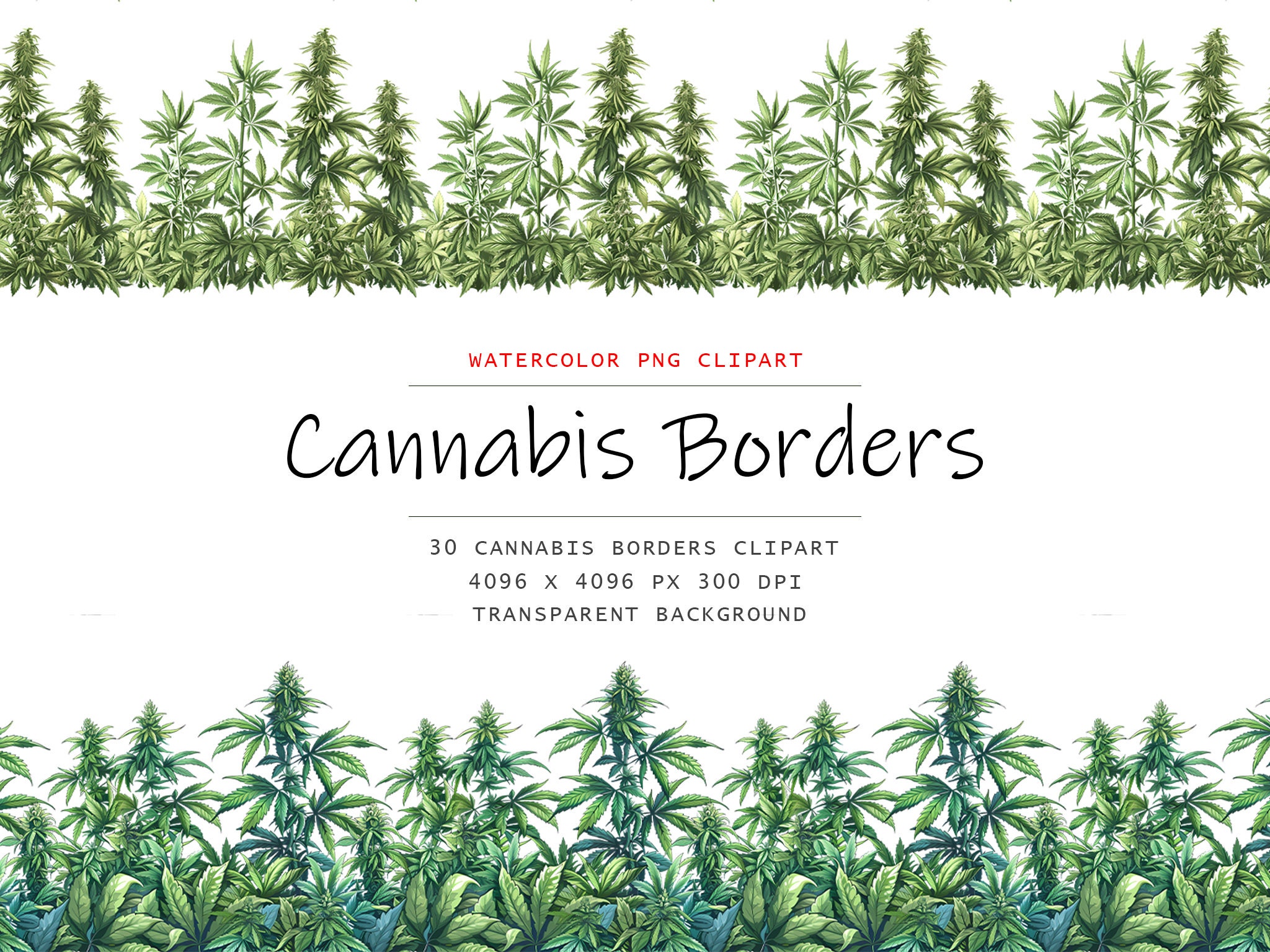 Watercolor Cannabis Borders Clipart, 30 PNG Marijuana Borders Clip Art ...