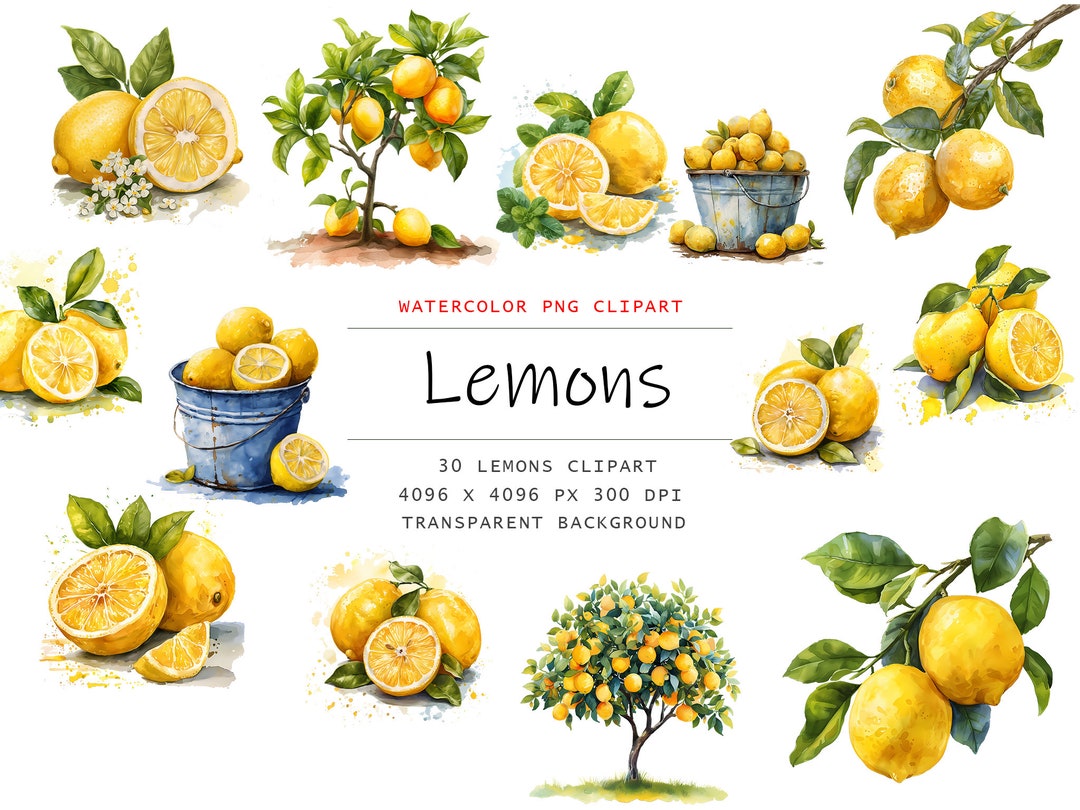Watercolor Lemons Clipart PNG, Watercolor Sublimation Lemons Clipart ...