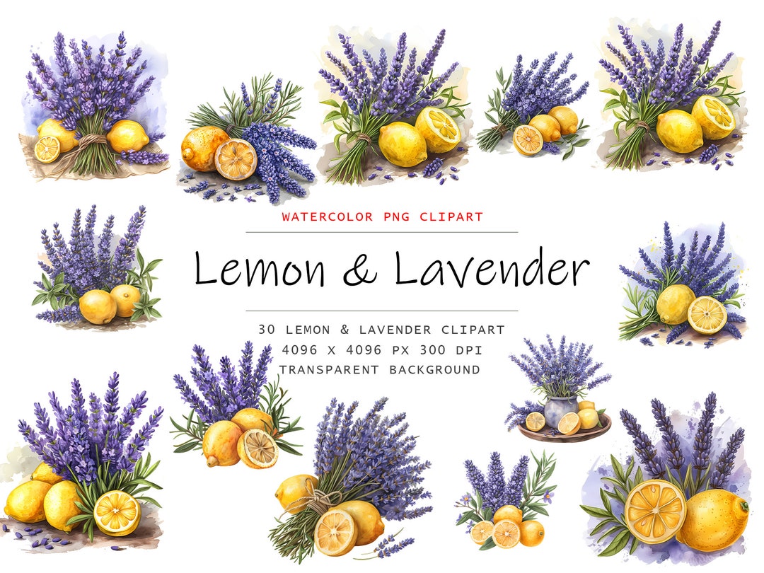 Watercolor Lemons and Lavender Clipart, 30 High Quality PNG Files ...