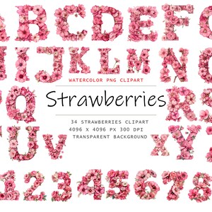 Watercolor Floral Pink Alphabet Clipart , Floral Alphabet, Transparent ...