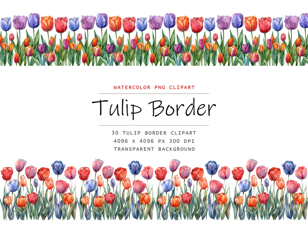Watercolor Tulip Borders Clipart, 30 PNG Tulip Borders Clip Art, Tulip ...