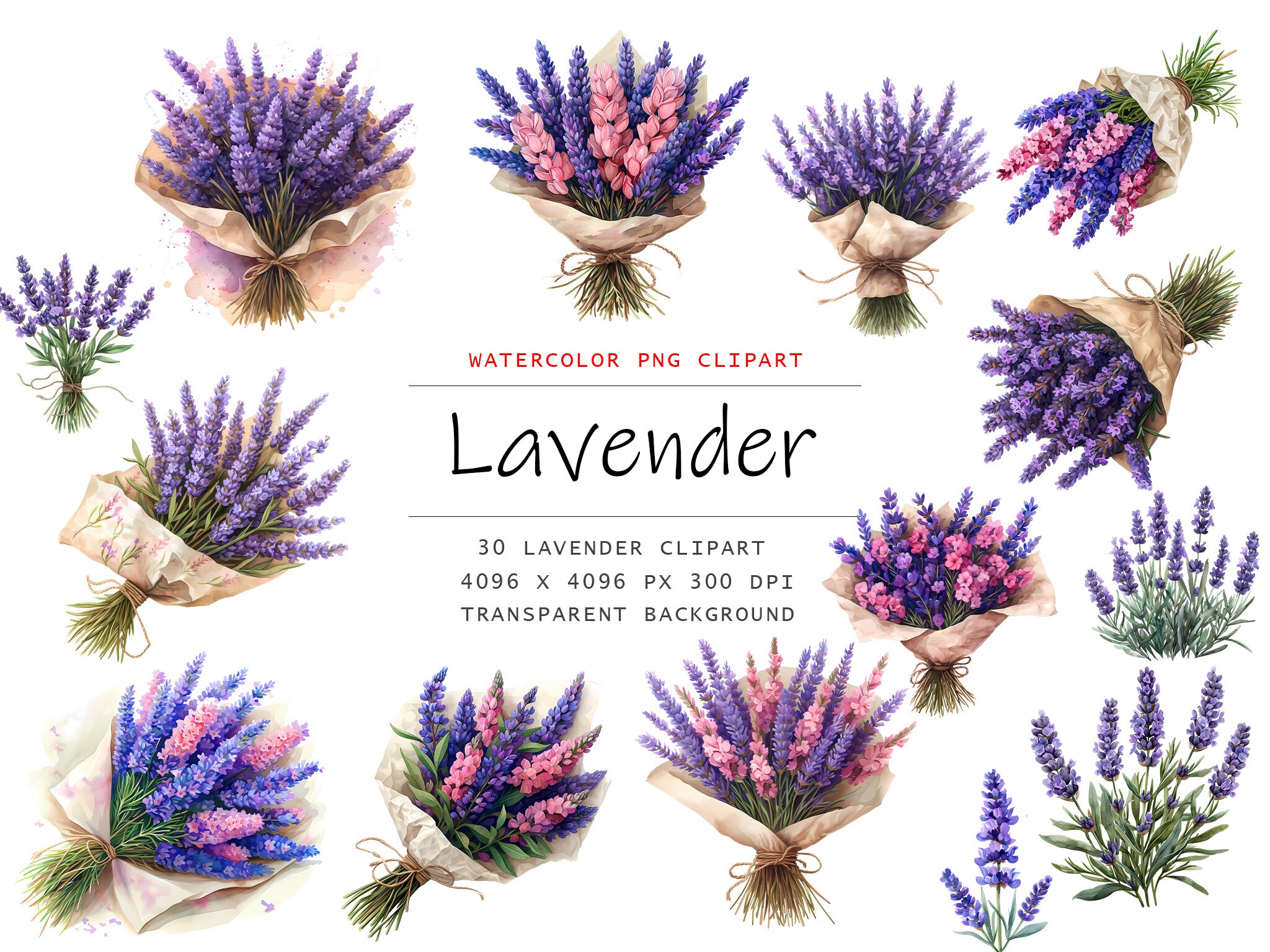 Watercolor Lavender Clipart, 30 High Quality JPEG and PNG Files ...