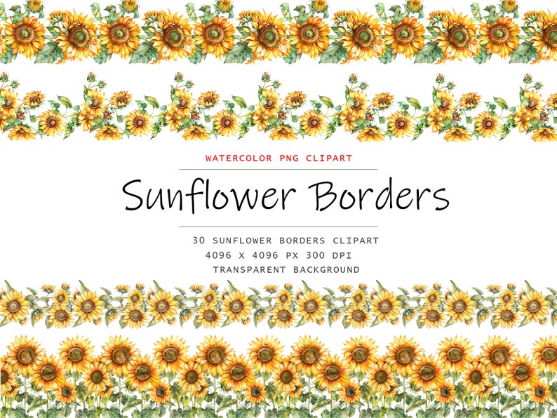 Watercolor Sunflower Borders Clipart, 30 PNG Sunflower Borders Clip Art ...