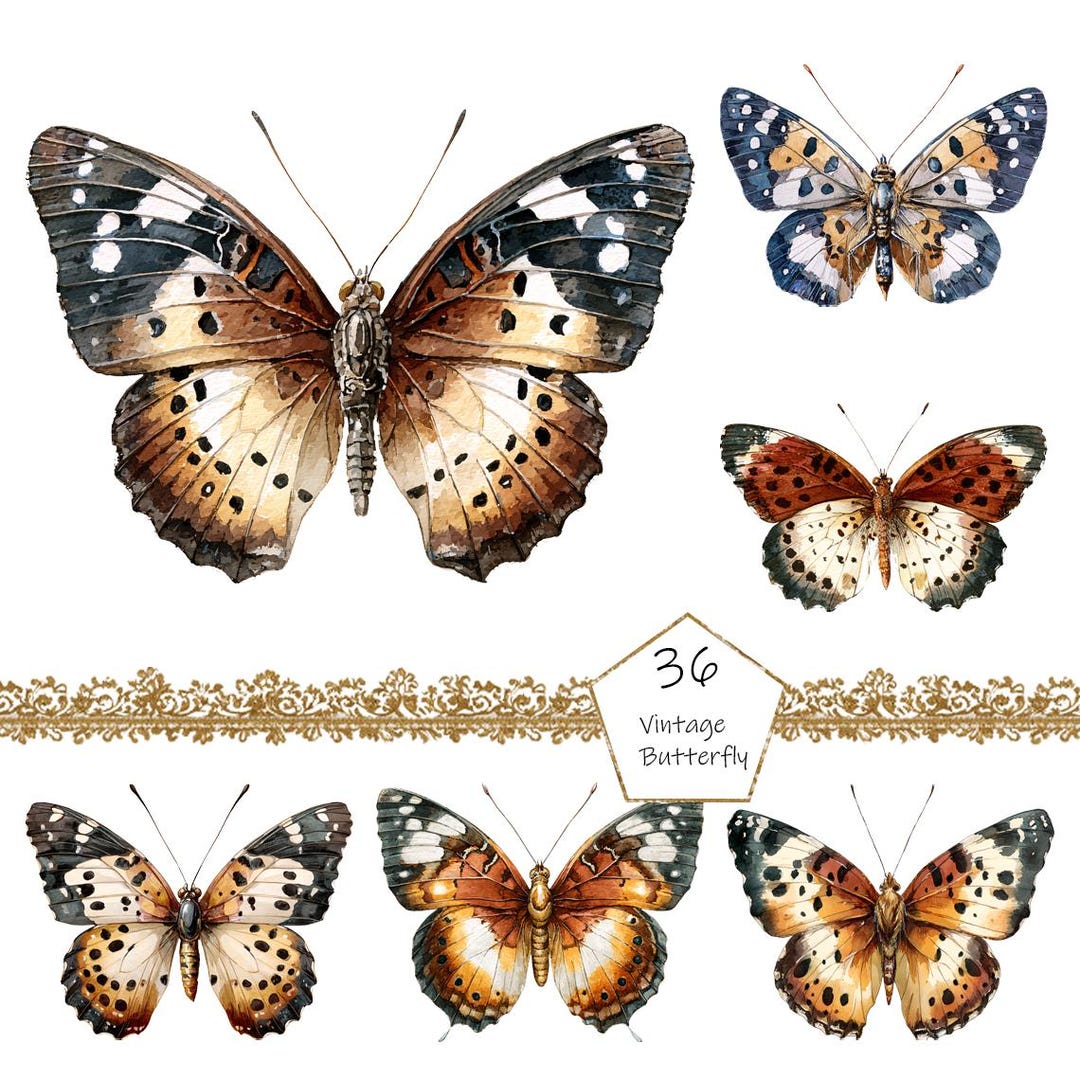 Watercolor Vintage Butterfly Clipart, 36 PNG Insects Clipart ...