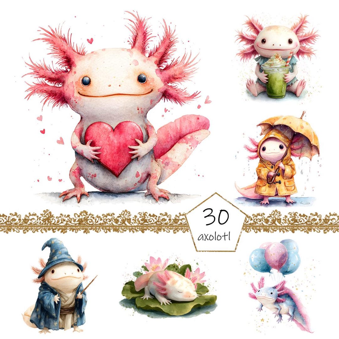 Watercolor Axolotl Clipart, 30 PNG Axolotl Clip Art, Commercial Use ...