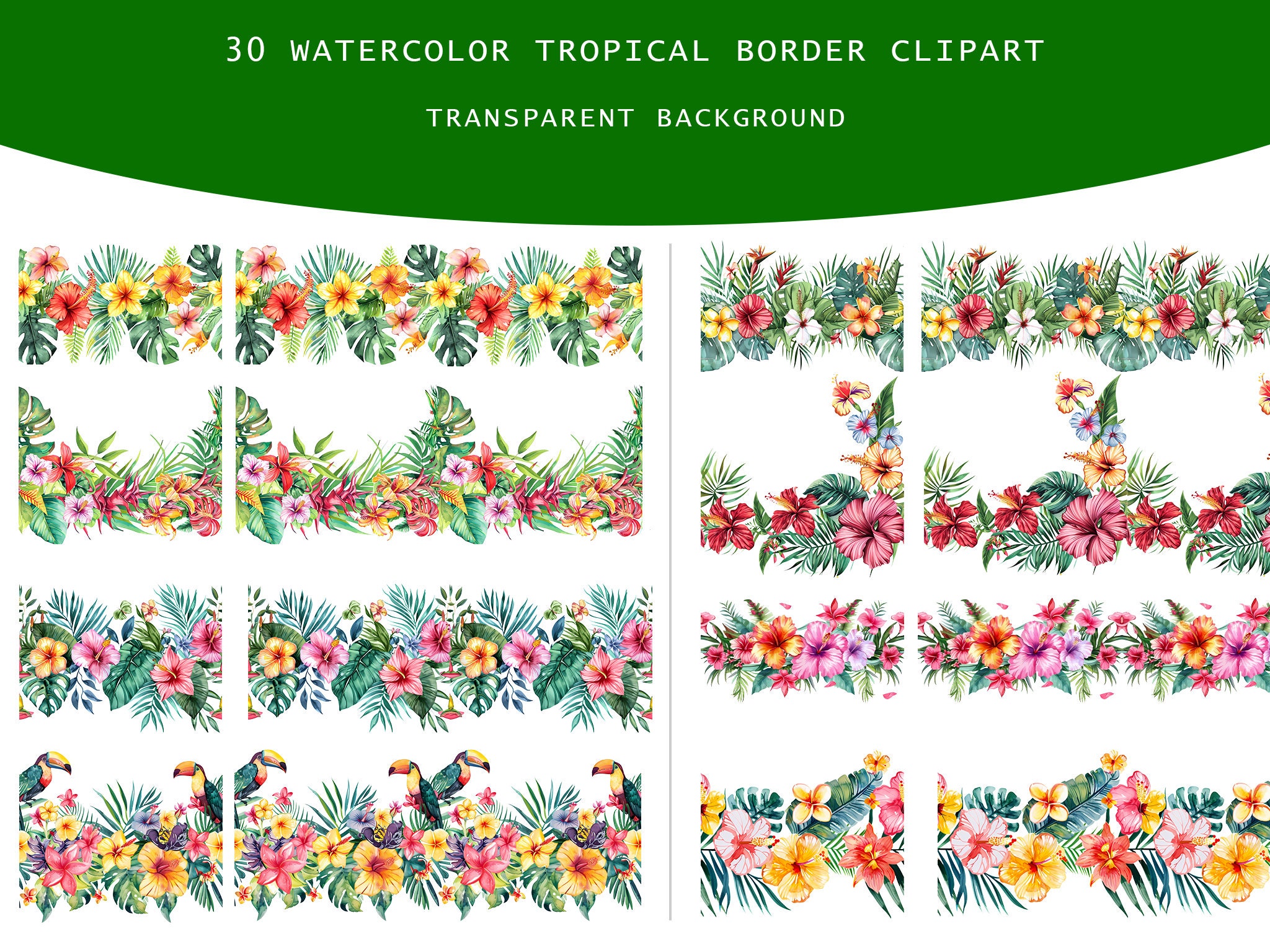 Watercolor Tropical Flowers Borders Clipart, 30 PNG Tropical Flowers ...