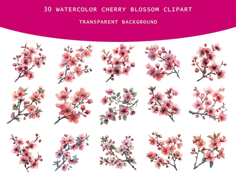 Watercolor Cherry Blossom Clipart, 30 PNG Cherry Blossom Clip Art ...