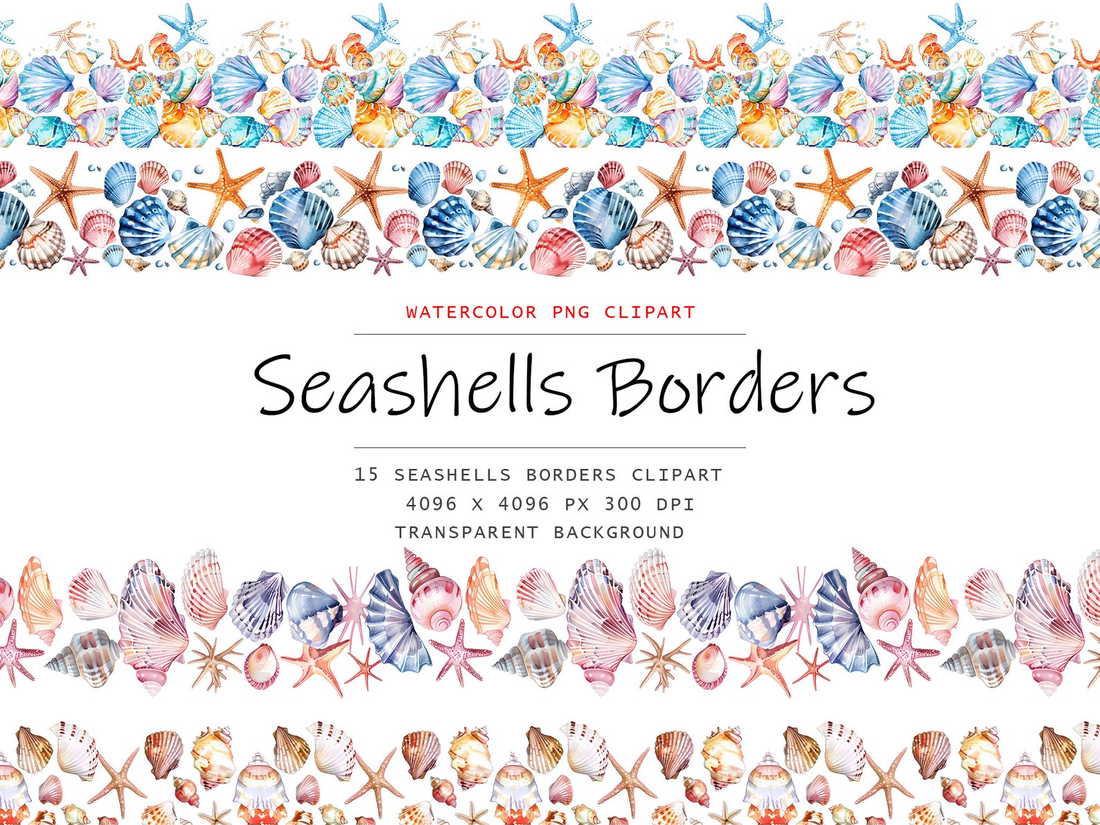 Watercolor Seashell Borders Clipart, 15 PNG Seashell Borders Clip Art ...