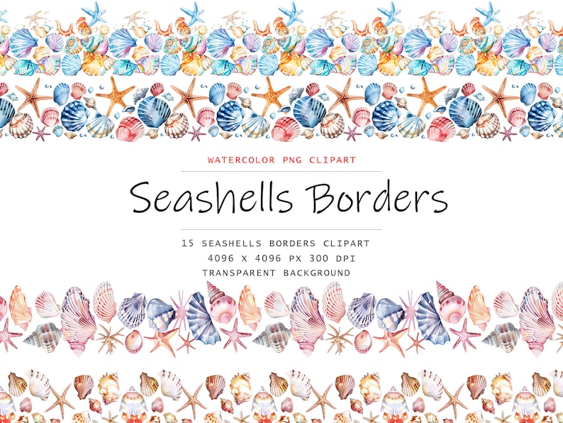 Watercolor Seashell Borders Clipart, 15 PNG Seashell Borders Clip Art ...