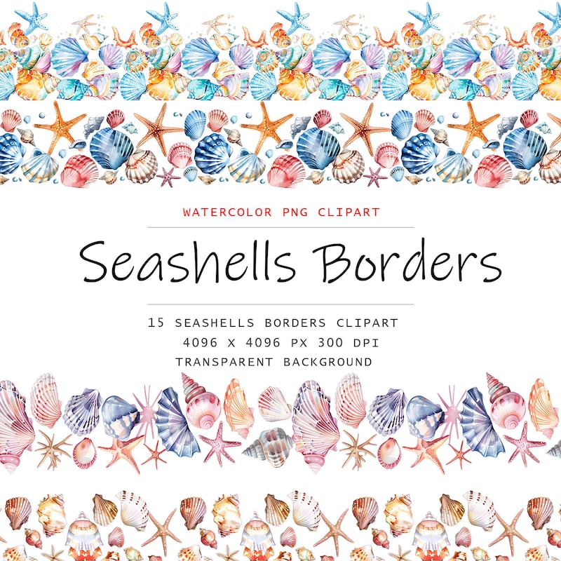 Seashell Border - Etsy