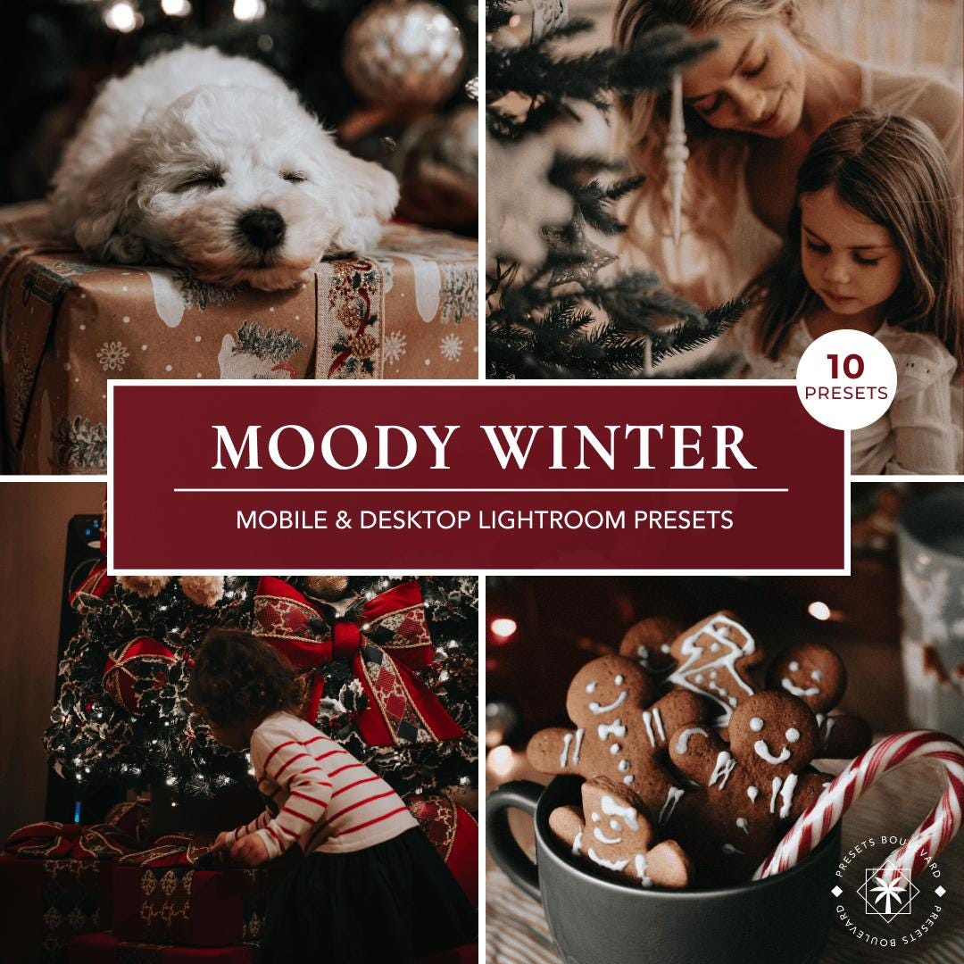 10 Moody Winter Lightroom Presets | Perfect for Cozy Family Holiday ...
