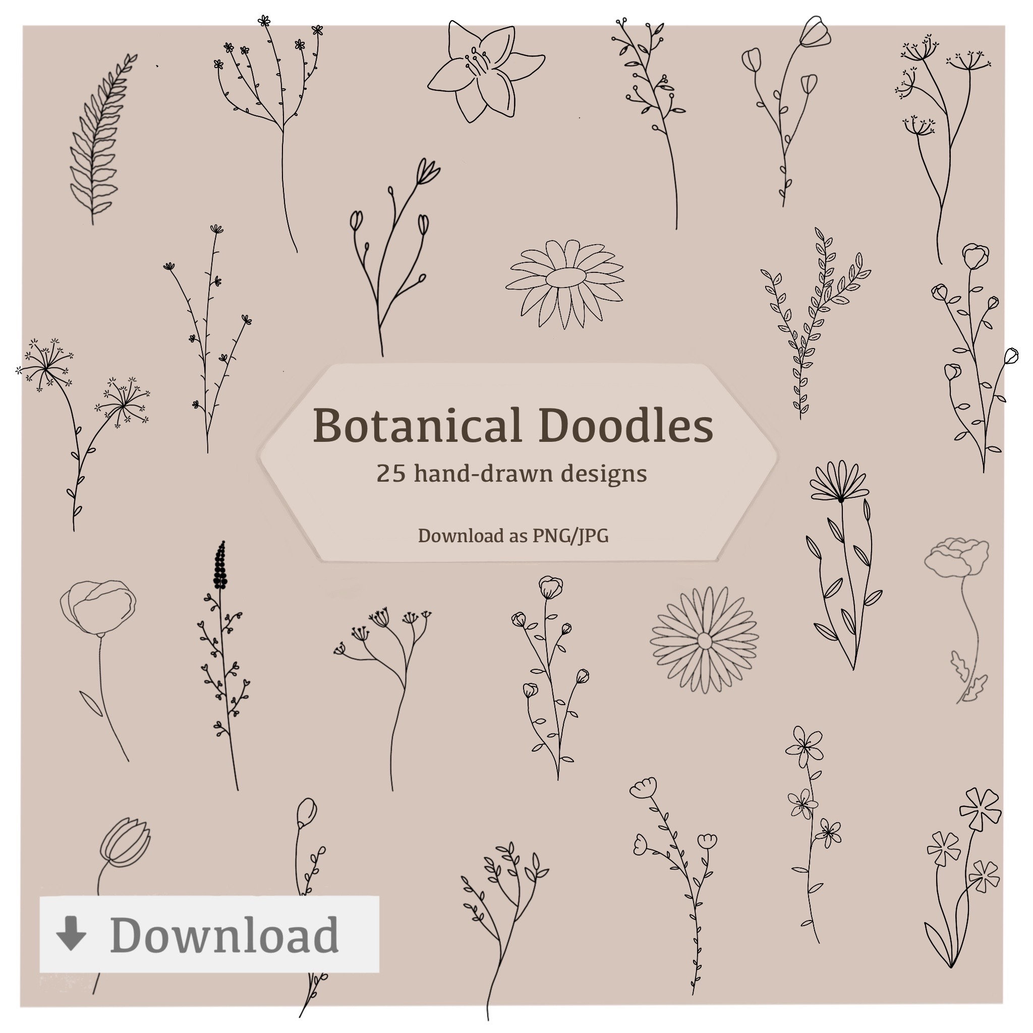 Botanical Doodles Download Flowers - Etsy
