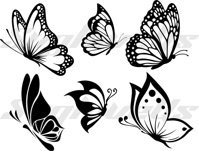 Mariposa Svg, paquete de mariposa Svg, mariposas, mariposa Svg para ...