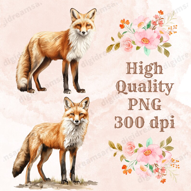 Fox Clipart Bundle - Transparent PNG Collection, Digital Prints ...