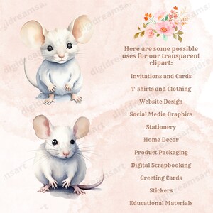 White Mouse Clipart Bundle - Transparent PNG Collection, Watercolor ...