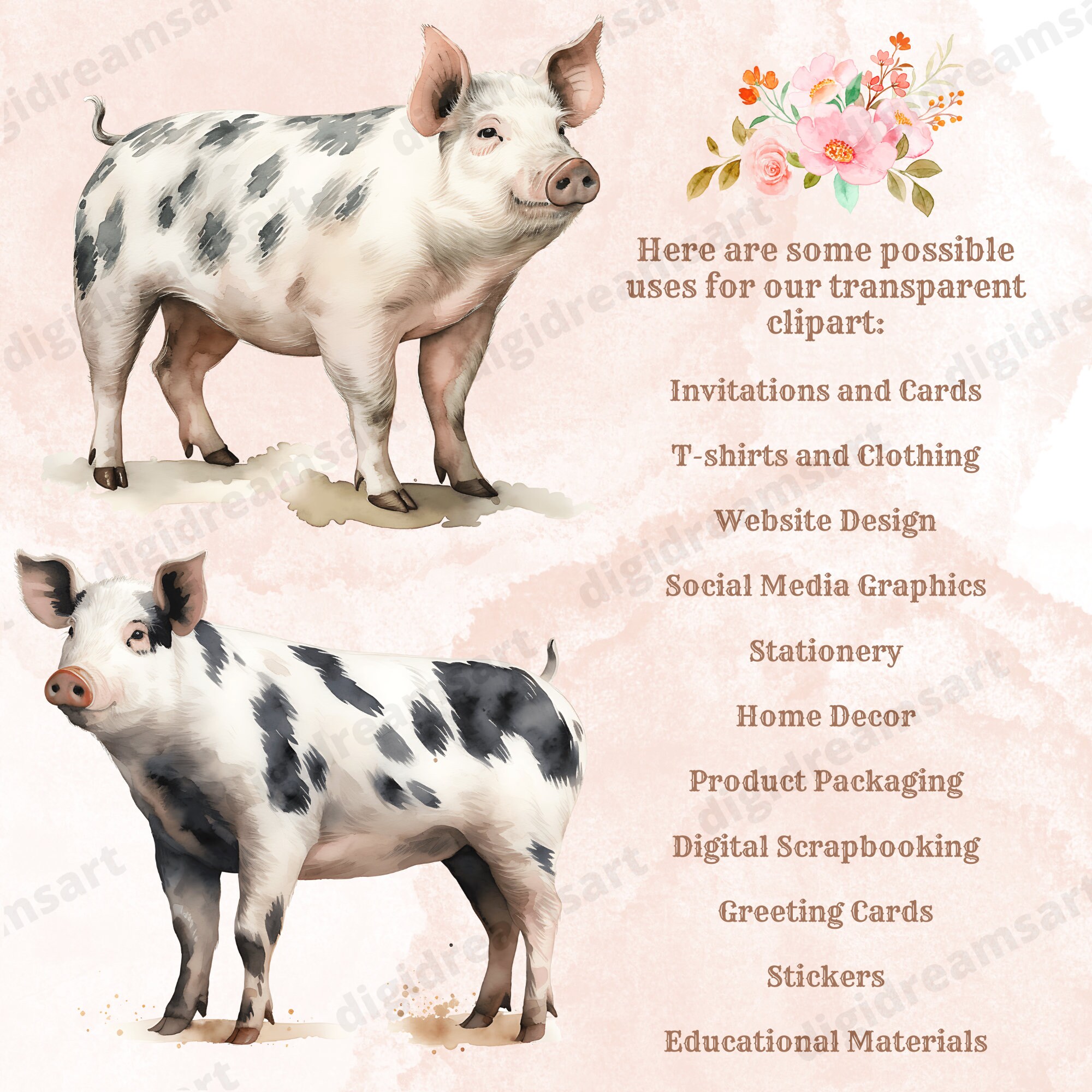 4-H Show Old Spots Pig Clipart Bundle Transparent PNG - Etsy