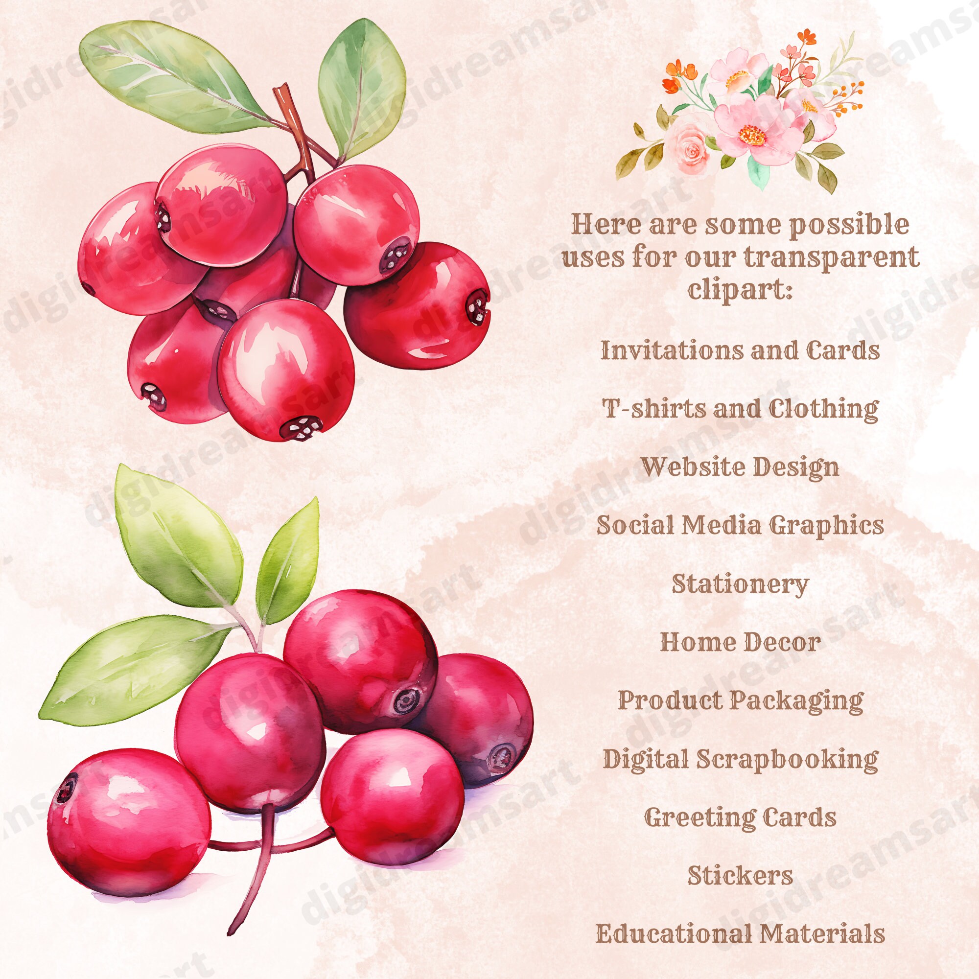 Cranberry Clipart Bundle Transparent PNG Collection, Watercolor ...