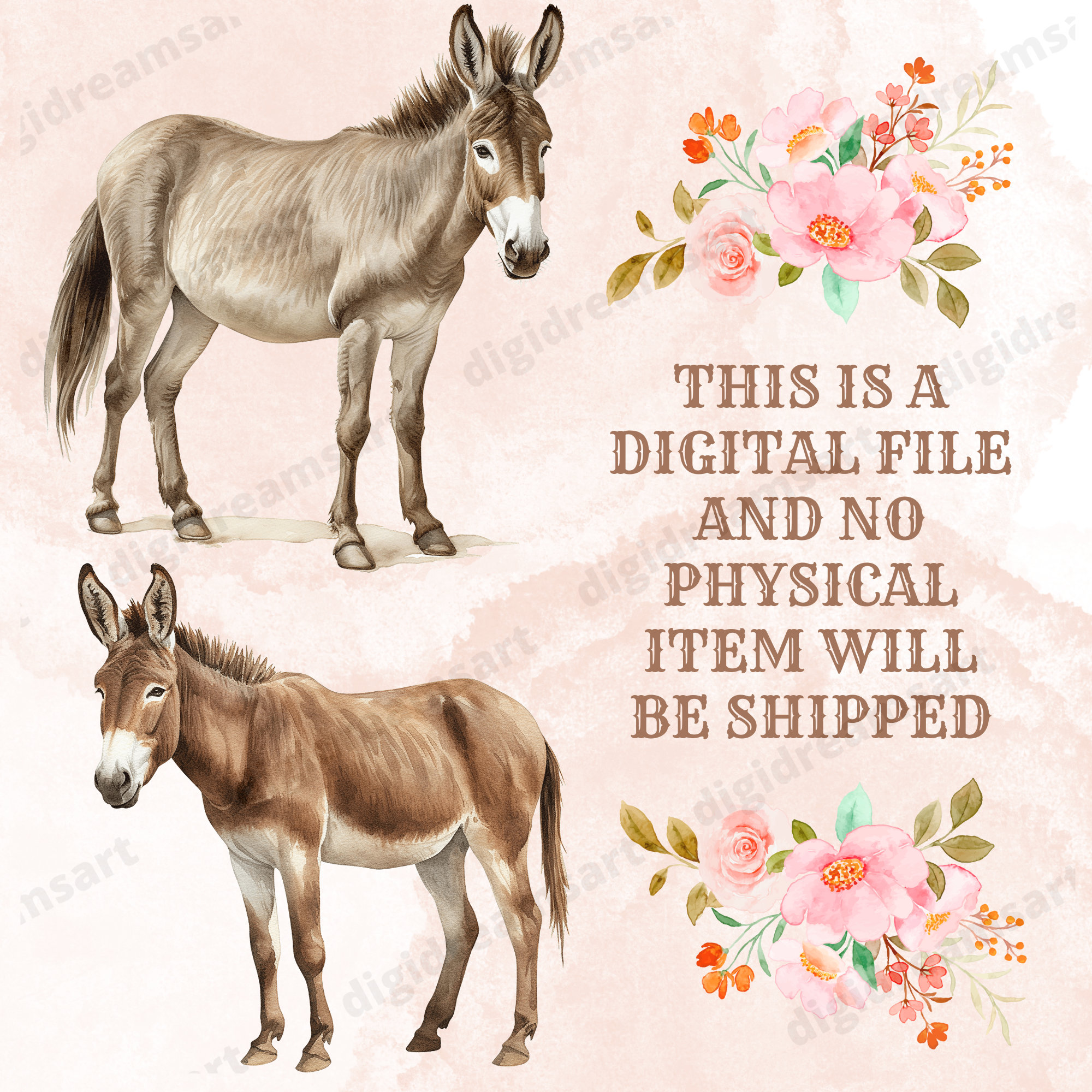 Farm Donkey Clipart Bundle Transparent PNG Collection, Digital Prints ...