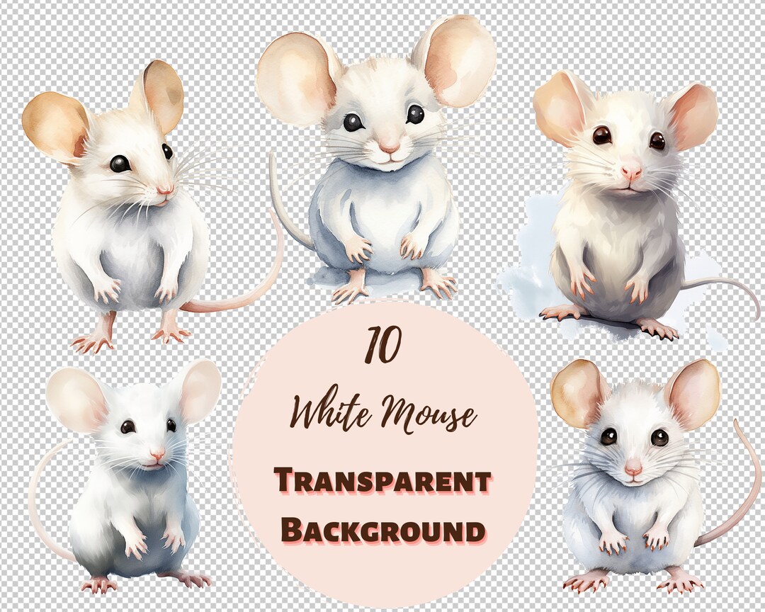 White Mouse Clipart Bundle - Transparent PNG Collection, Watercolor ...