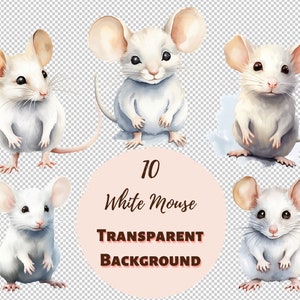 White Mouse Clipart Bundle - Transparent PNG Collection, Watercolor ...