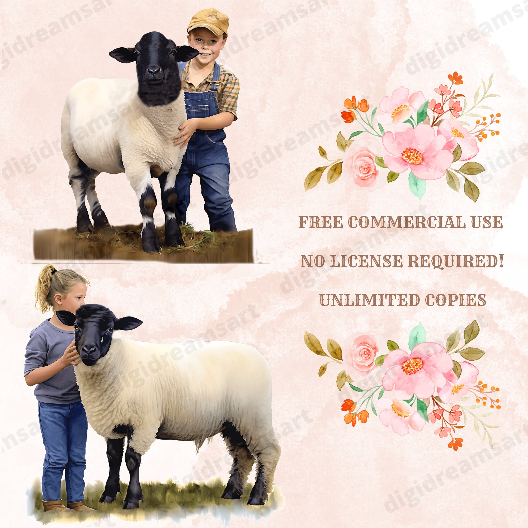 4-H Show Dorper Sheep Clipart Bundle Transparent PNG - Etsy