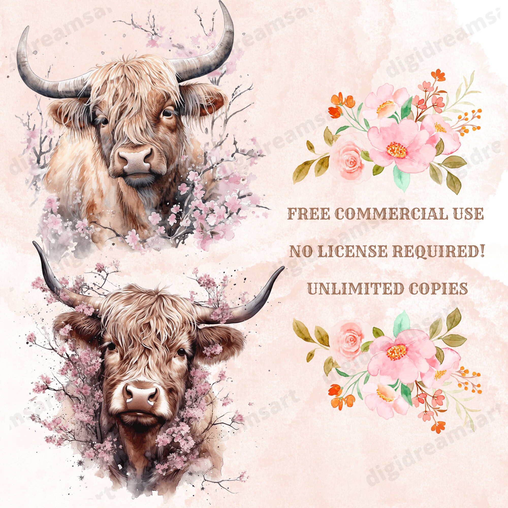 Highland Cow in Sakura Flowers Design Bundle PNG Transparent Clipart ...