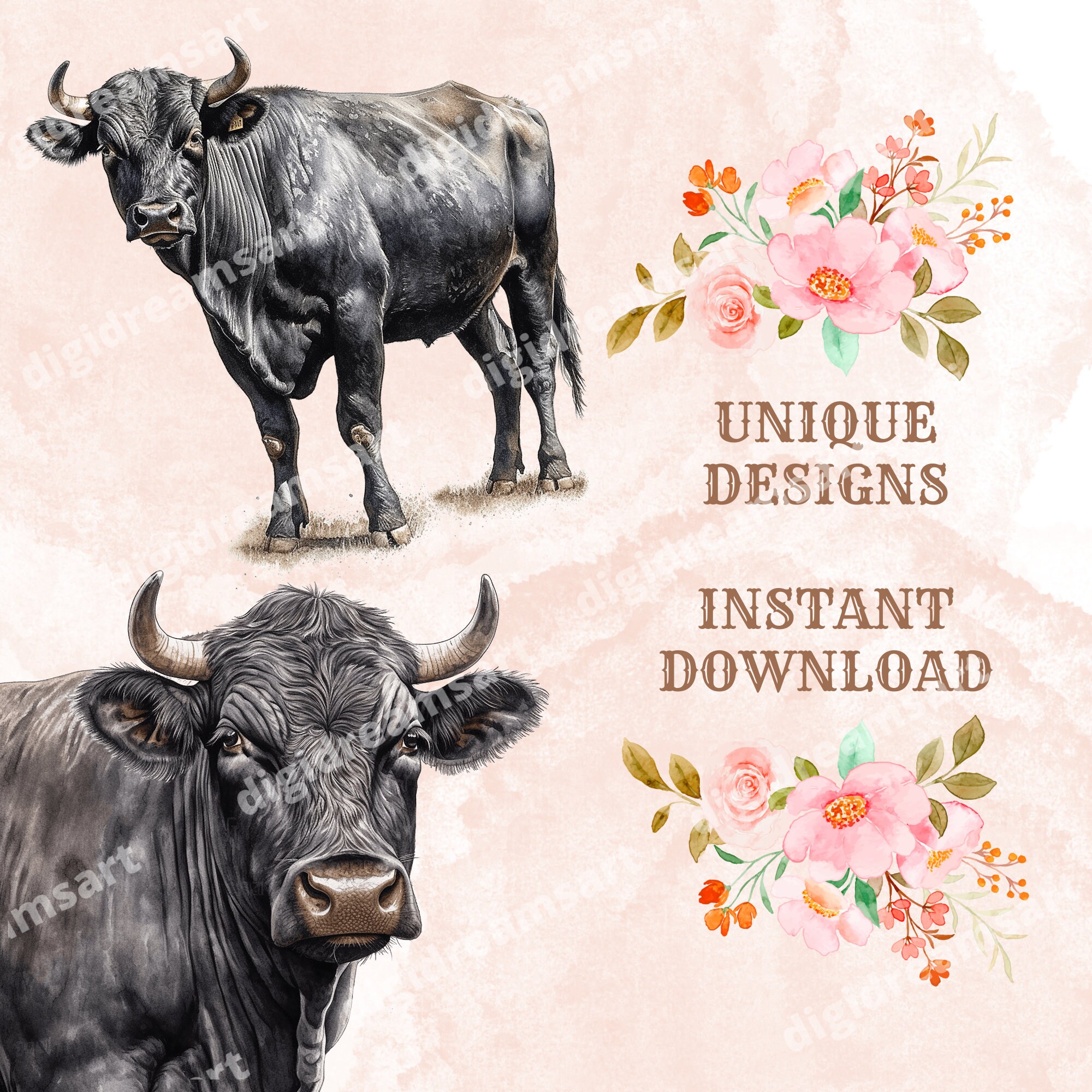 Black Angus Clipart Bundle Transparent PNG Collection, Digital Prints ...