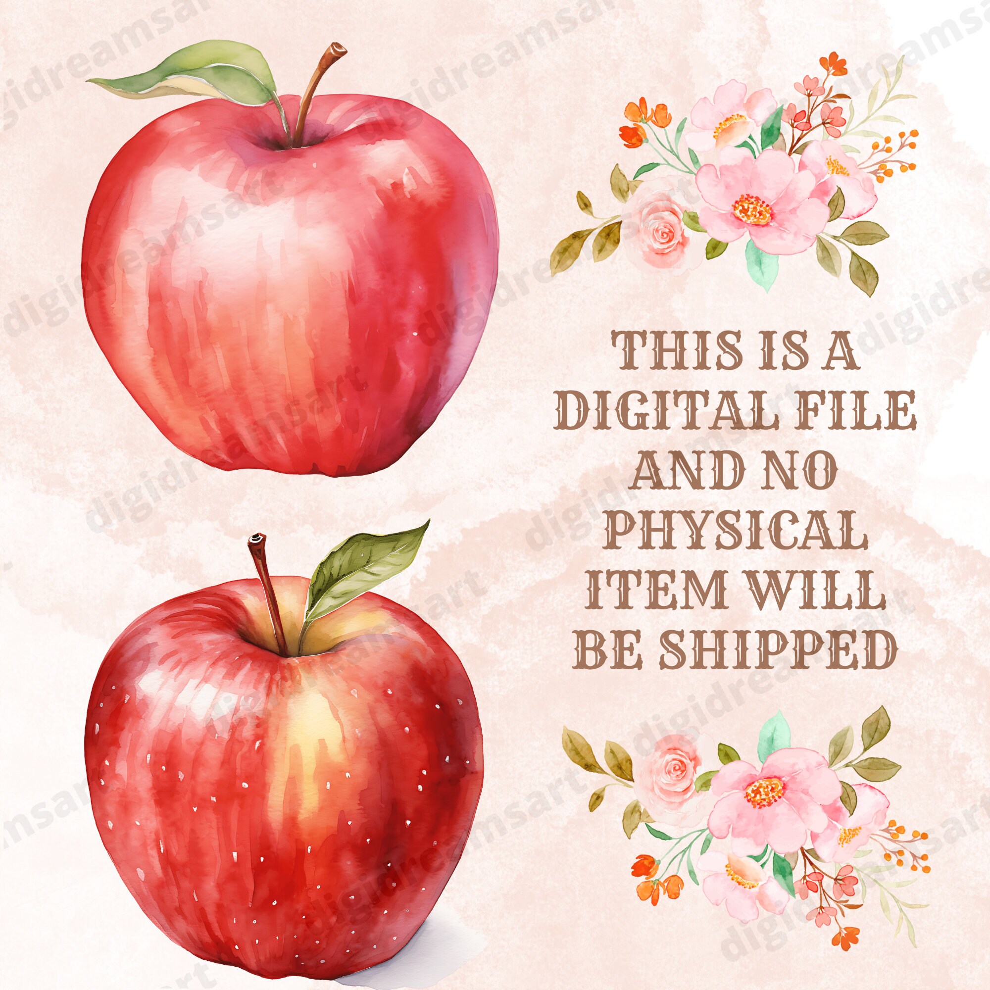 Apple Clipart Bundle Transparent PNG Collection Watercolor - Etsy