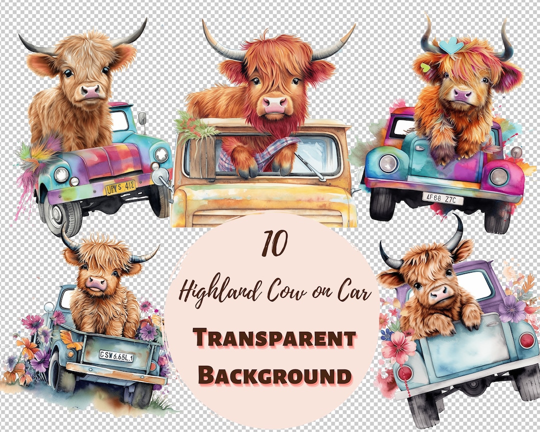 Highland Cow on Car Clipart Bundle - Transparent PNG Collection ...