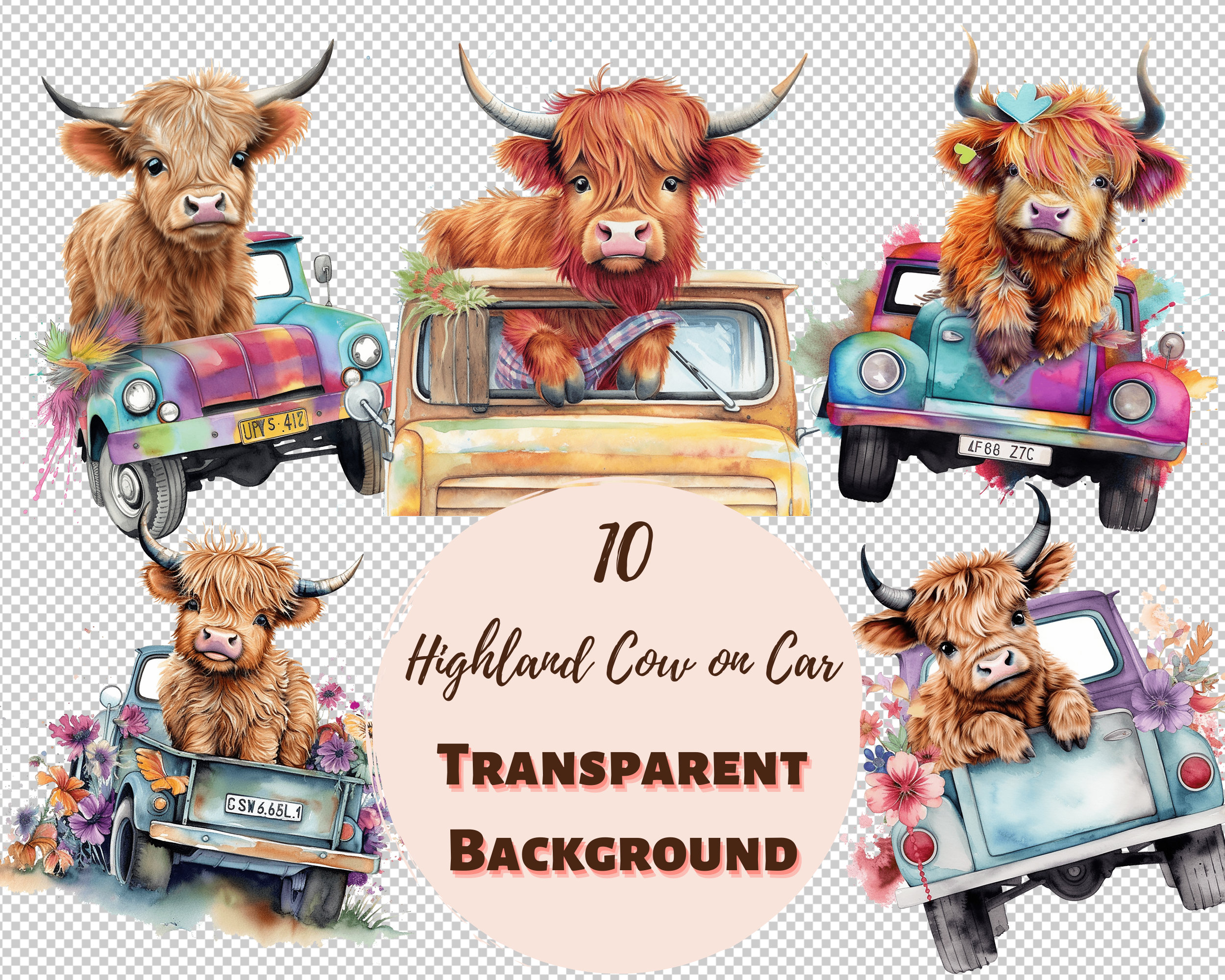 Highland Cow on Car Clipart Bundle Transparent PNG Collection ...