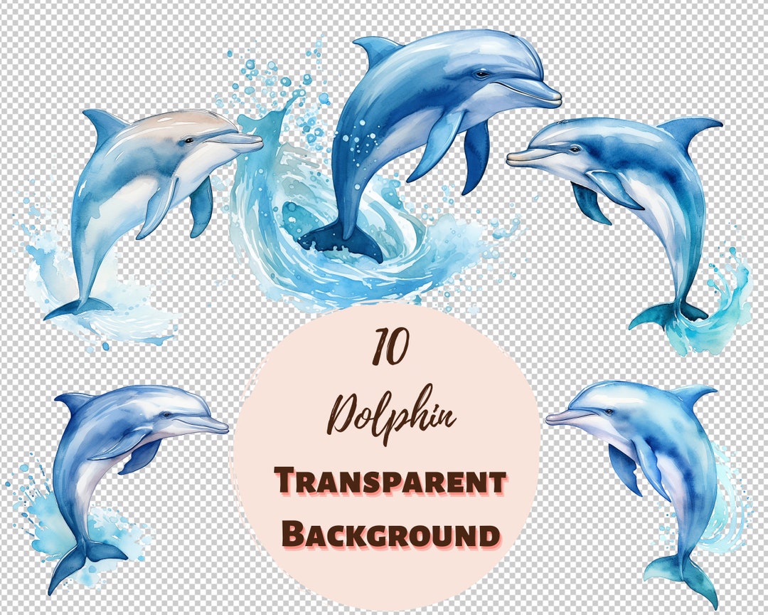 Dolphin, Clipart Bundle Transparent PNG Collection, Digital Prints ...