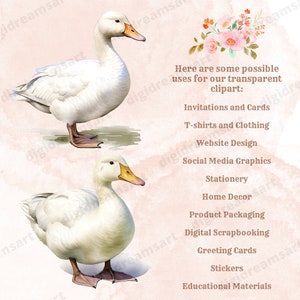 American Pekin Duck Clipart Bundle - Transparent PNG Collection ...