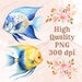 Pet Fish Mega Bundle 50 PNG Clipart Images - Transparent PNG Collection ...