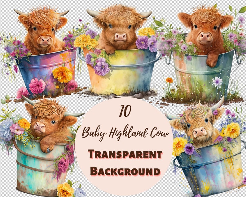 Cute Baby Highland Cow Design Bundle PNG Transparent Clipart Collection ...