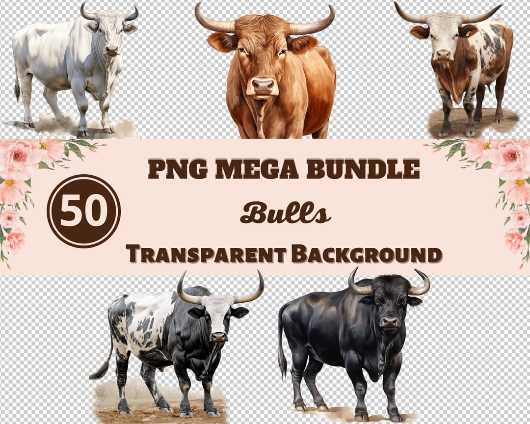 Bulls Mega Bundle 50 PNG Clipart Transparent PNG Collection, Digital ...