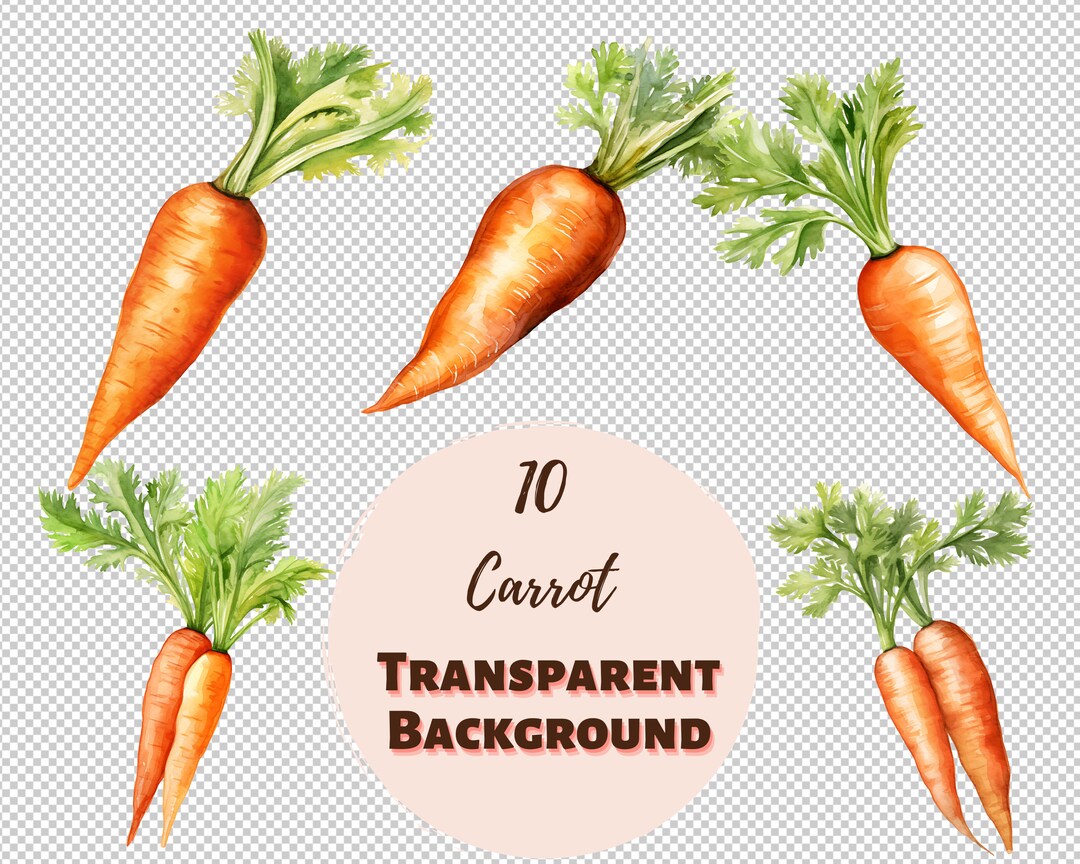 Carrot Clipart Bundle - Transparent PNG Collection, Watercolor Graphics ...
