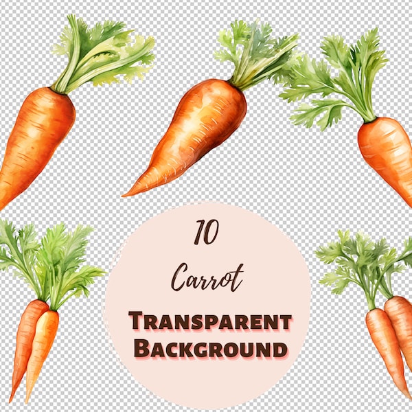Carrot Watercolor - Etsy