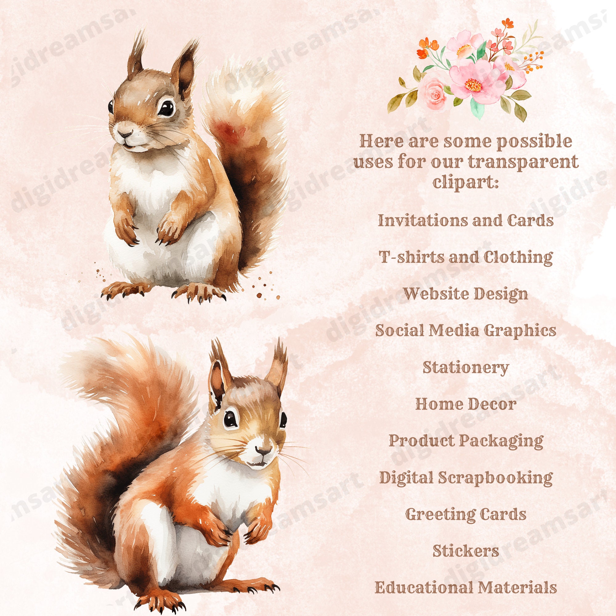Squirrel Clipart Bundle Transparent PNG Collection Digital - Etsy