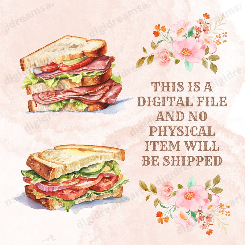 Sandwich Clipart Bundle Transparent PNG Collection - Etsy