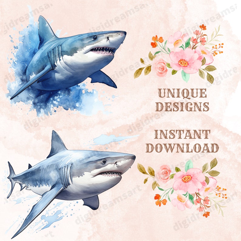 Shark, Clipart Bundle Transparent PNG Collection, Digital Prints ...