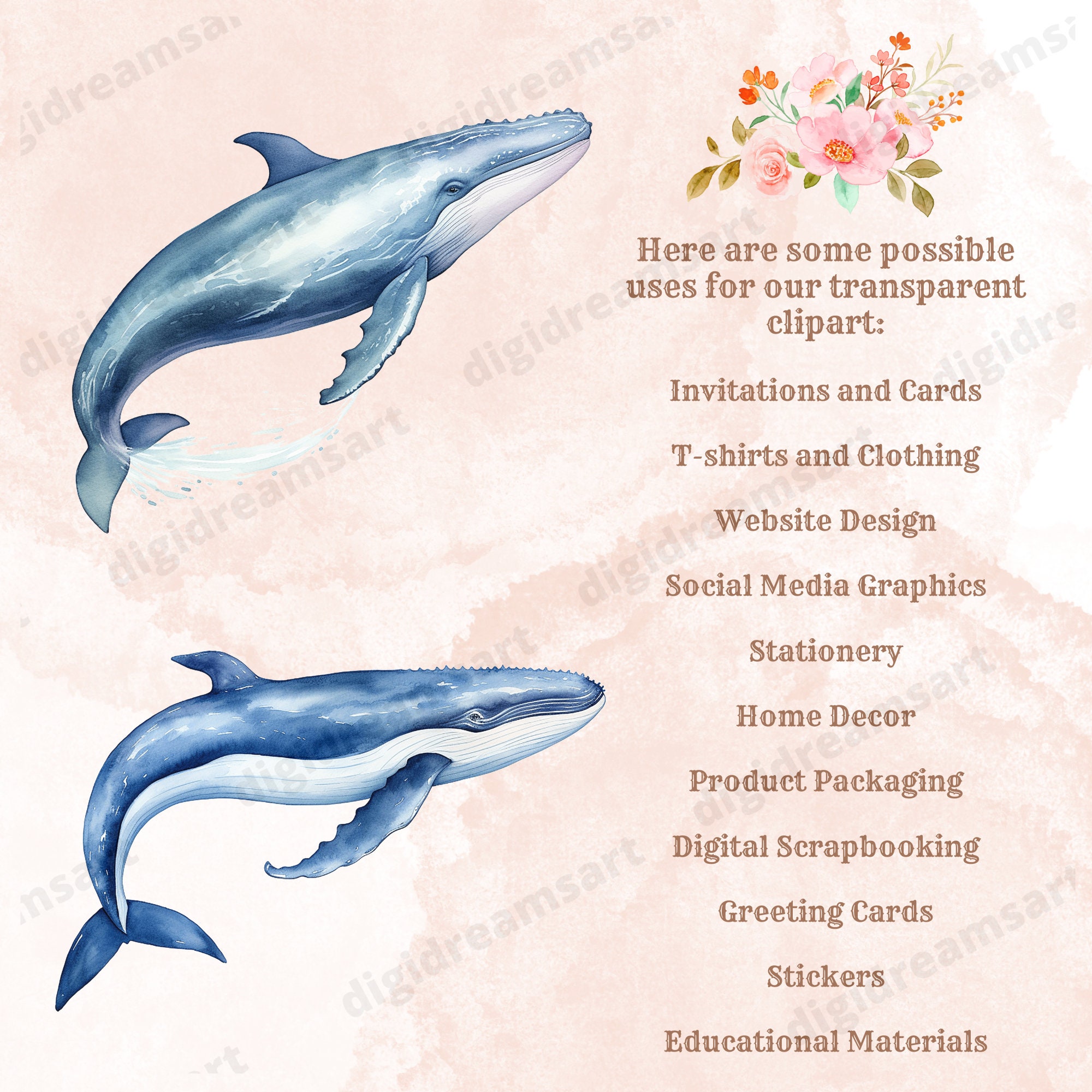Sea Creatures Mega Bundle 50 PNG Clipart Transparent PNG Collection ...