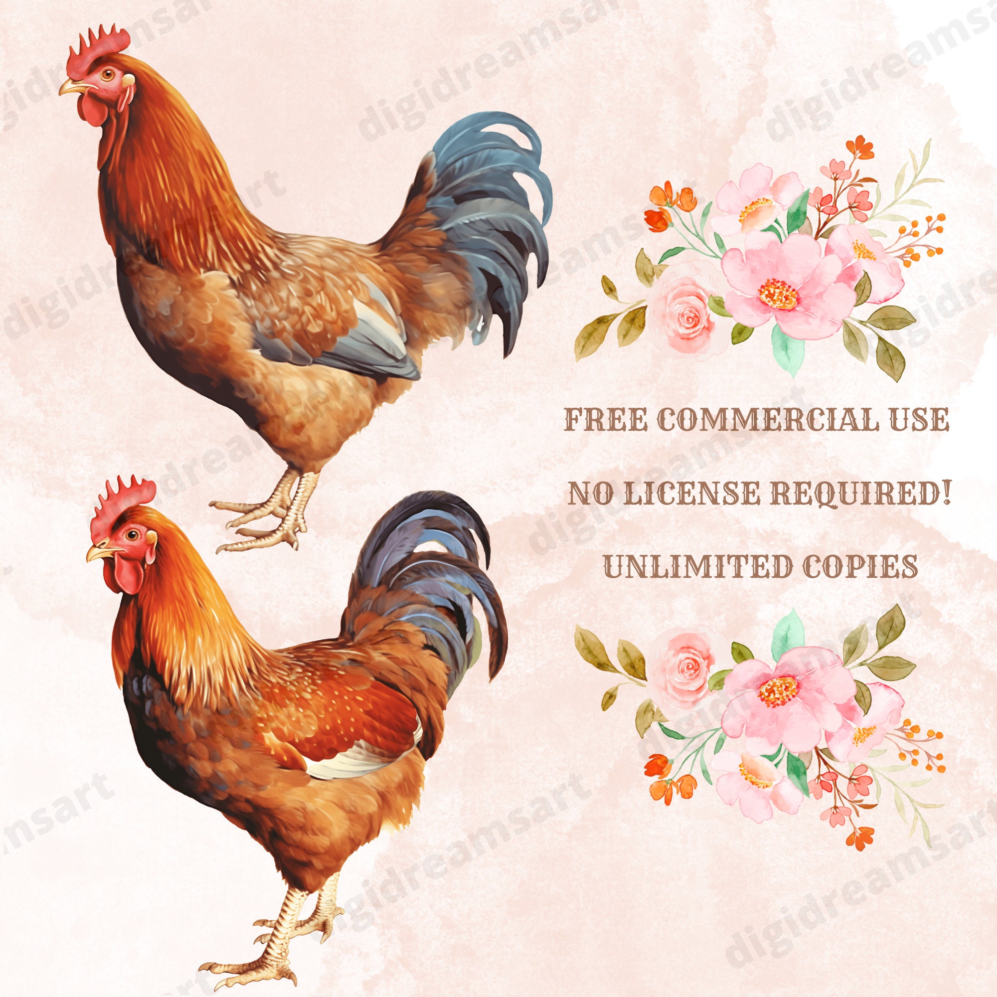 New Hampshire Chicken Clipart Bundle Transparent PNG - Etsy